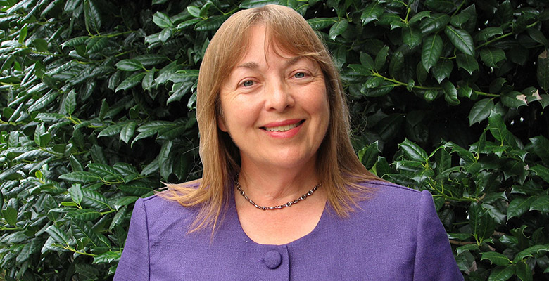 Environmental and Energy Study Institute | Ideas. Insights. Sustainable ...