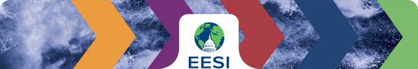 EESI Impact 19 - February 2024 | Newsletter | EESI