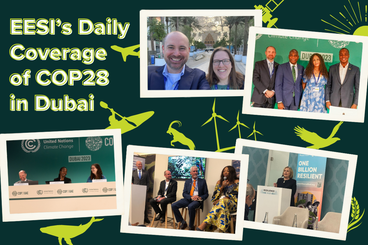 EESI Impact 19 - February 2024 | Newsletter | EESI