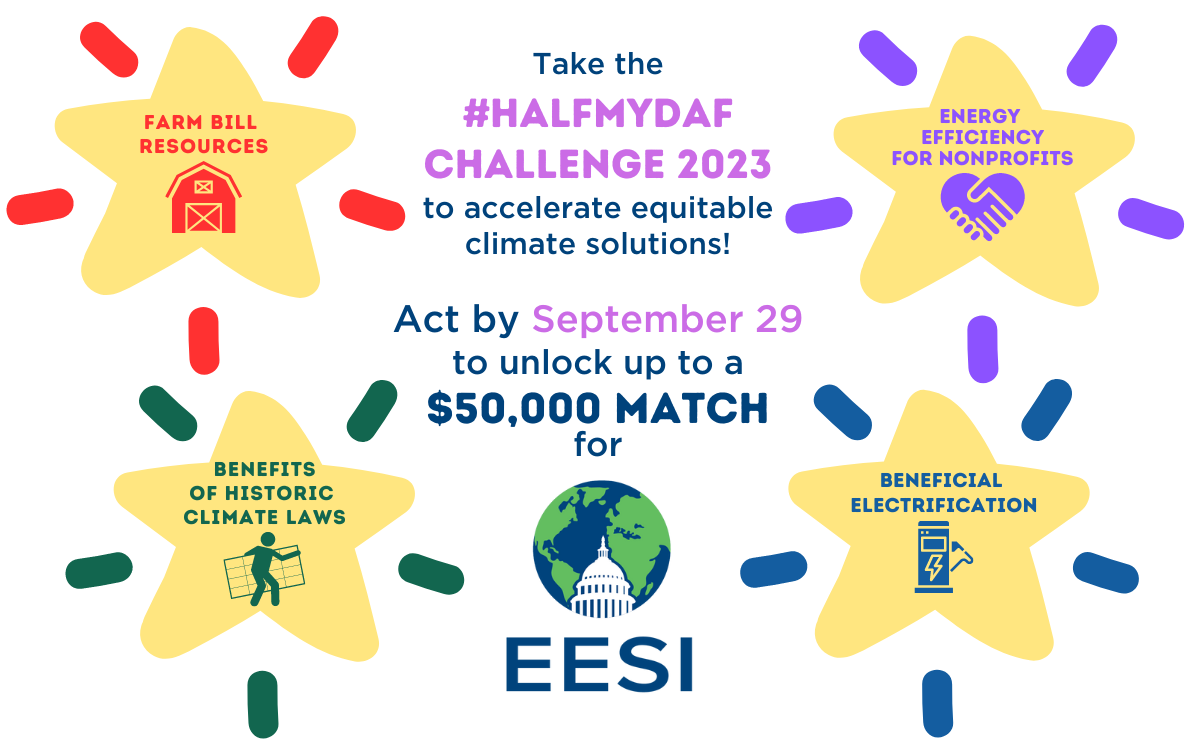 EESI Impact 17 - September 2023 | Newsletter | EESI